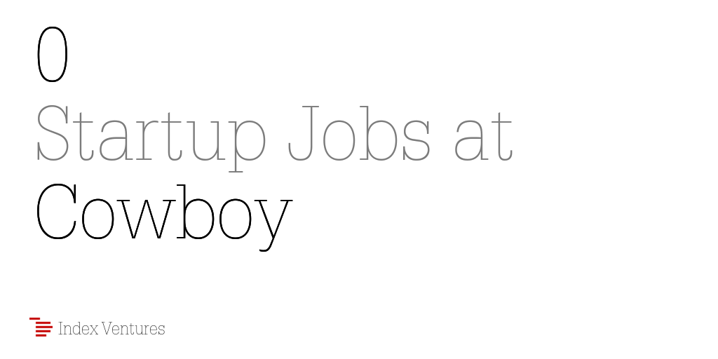 Cowboy: Embedded Software Engineer