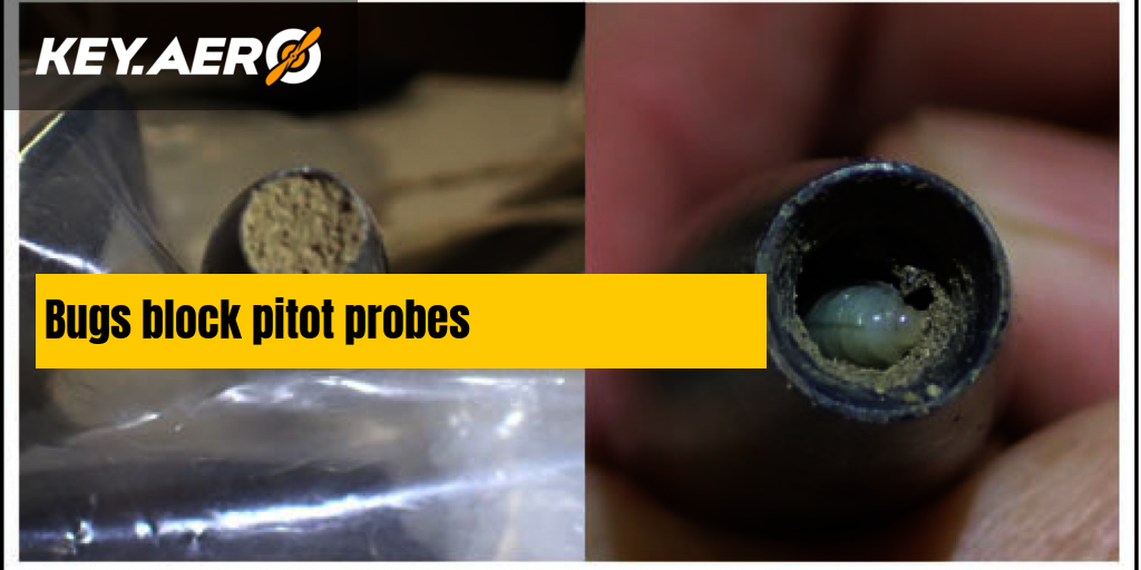 Bugs block pitot probes