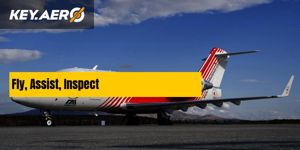 Fly, Assist, Inspect