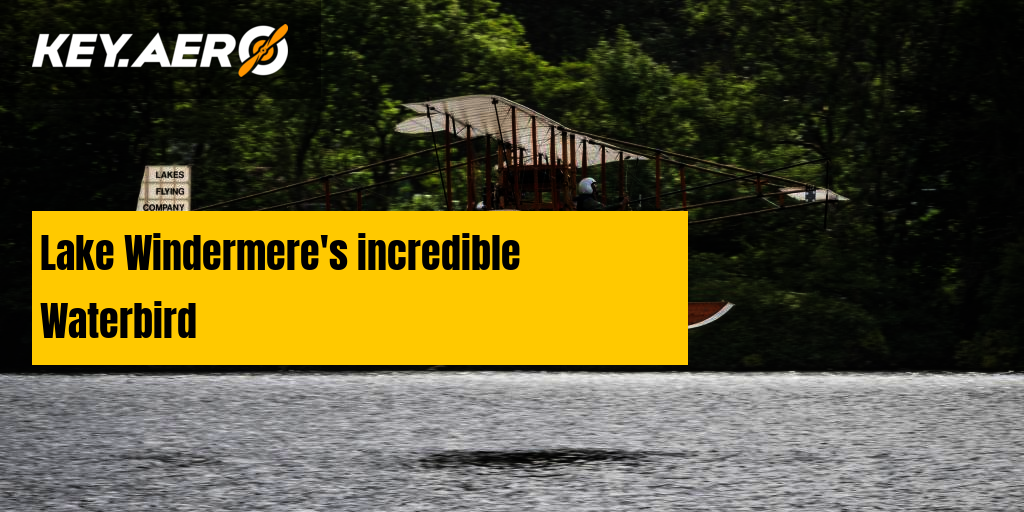 Lake Windermere's incredible Waterbird