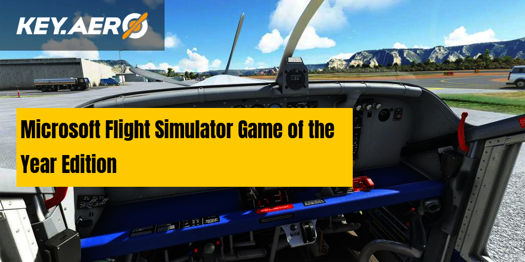 Microsoft Flight Simulator Game of the Year