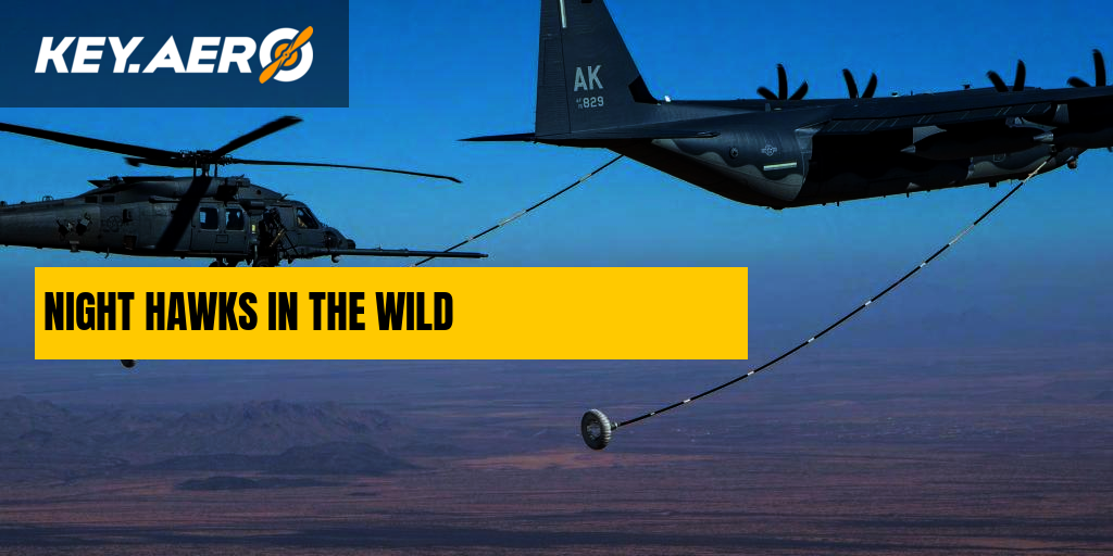 NIGHT HAWKS IN THE WILD