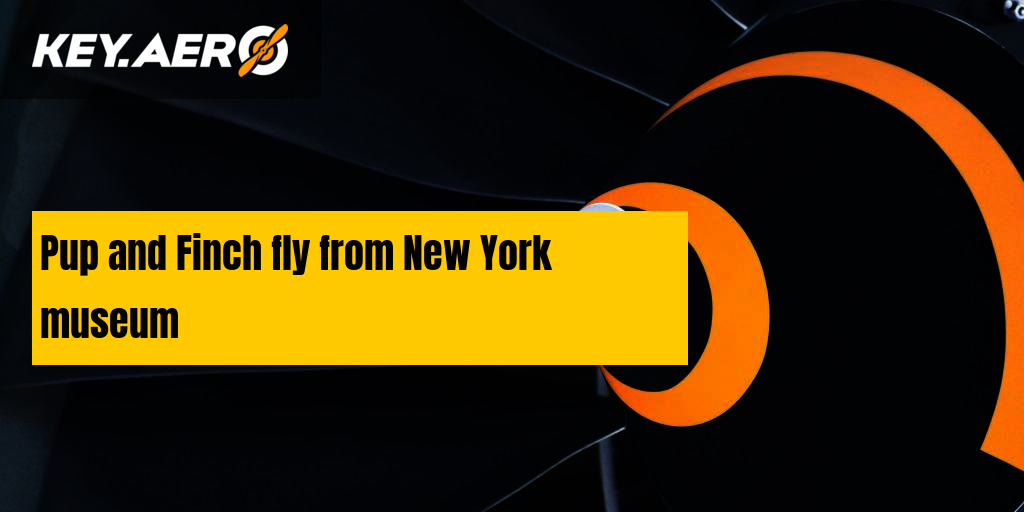 Pup and Finch fly from New York museum