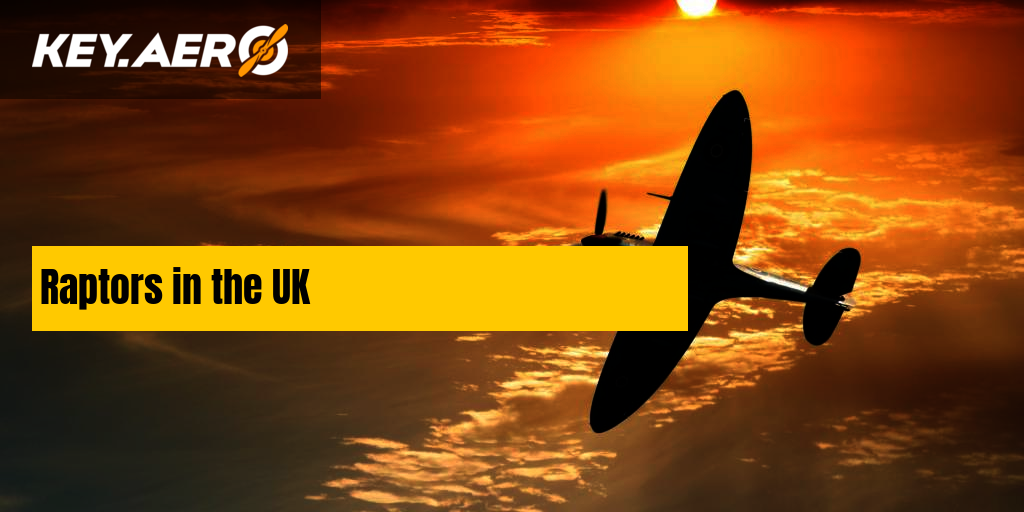 Raptors in the UK