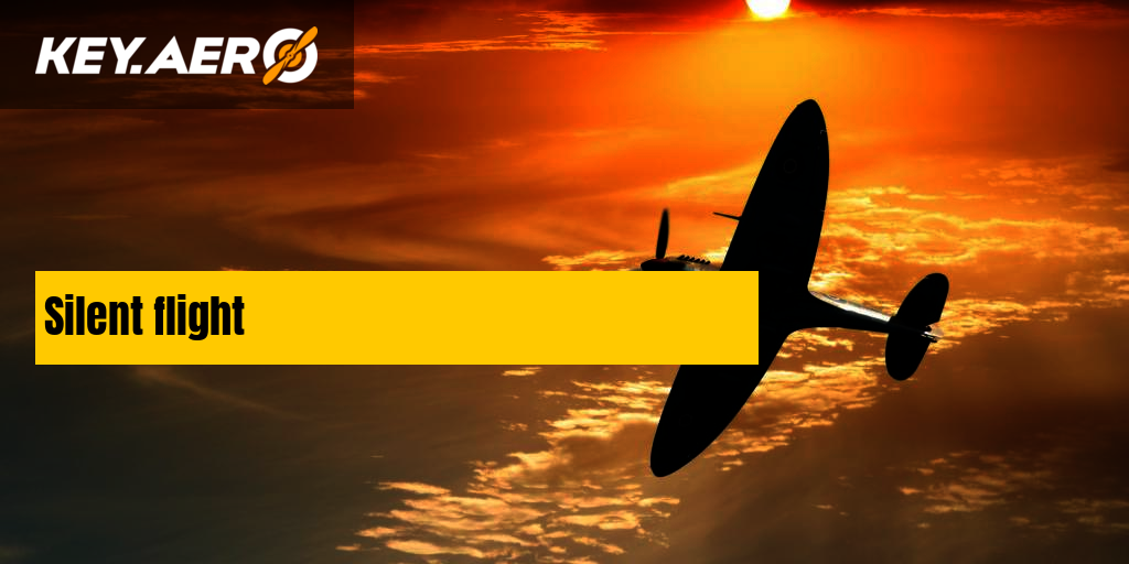 Silent flight