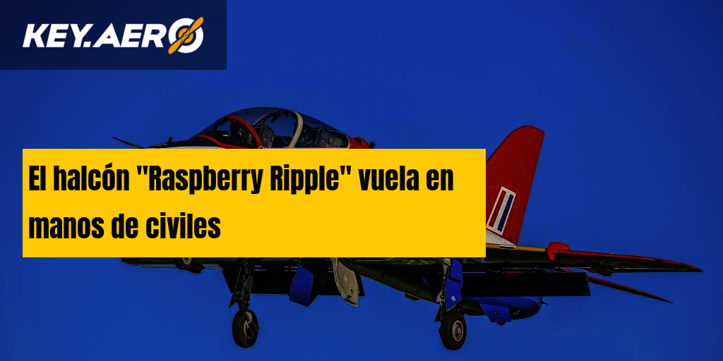 El halcón "Raspberry Ripple" vuela en manos de civiles