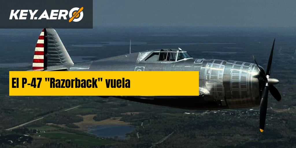 El P-47 "Razorback" vuela