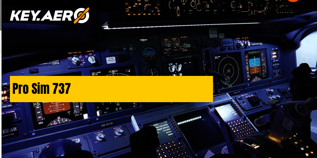 Pro Sim 737