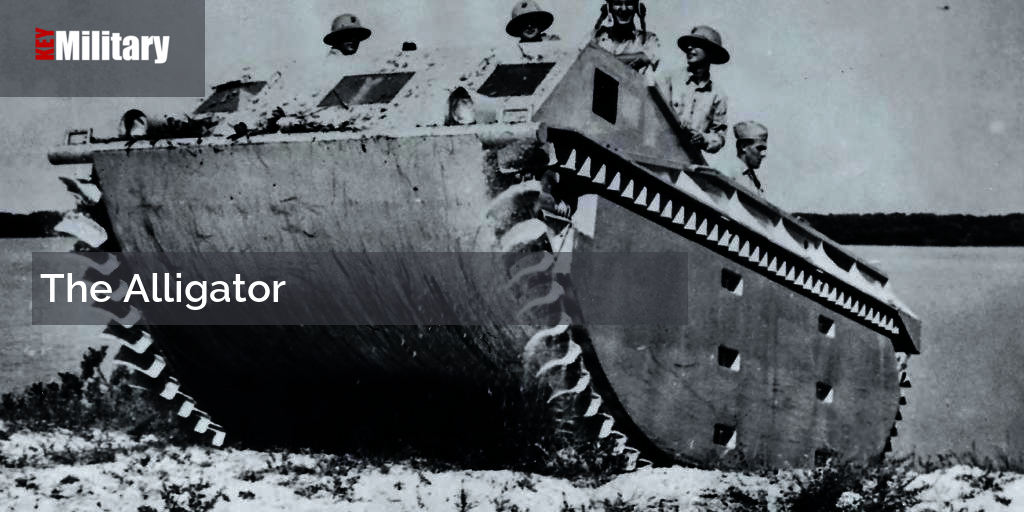 The Alligator