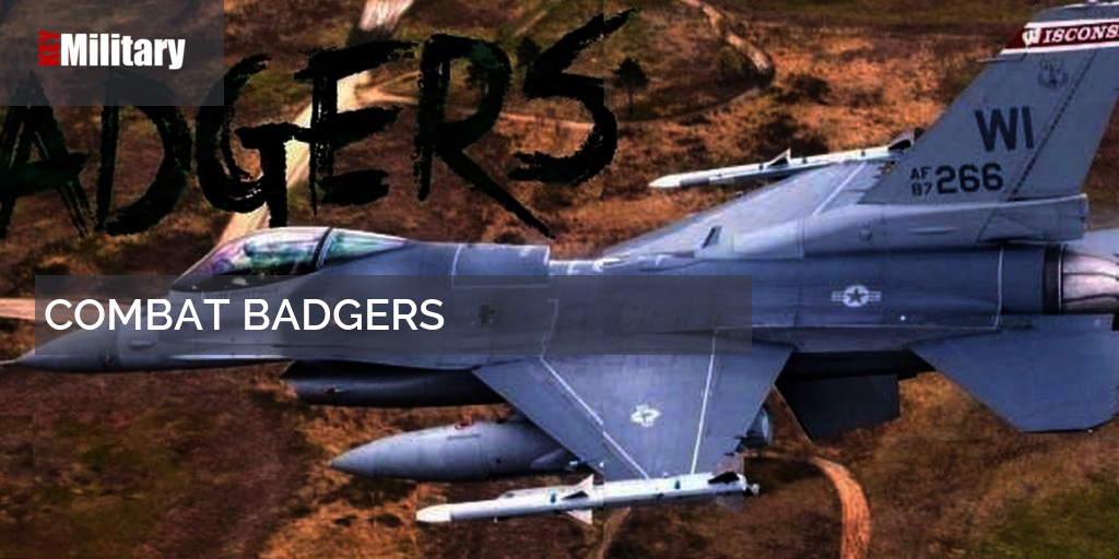 COMBAT BADGERS