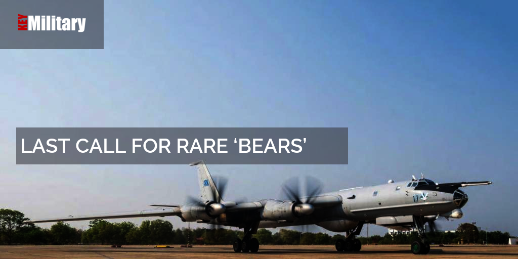 LAST CALL FOR RARE ‘BEARS’