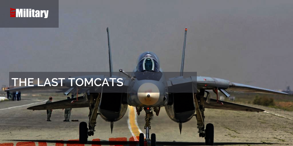THE LAST TOMCATS