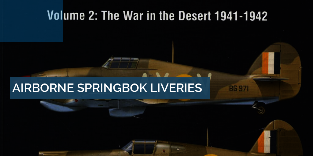 AIRBORNE SPRINGBOK LIVERIES